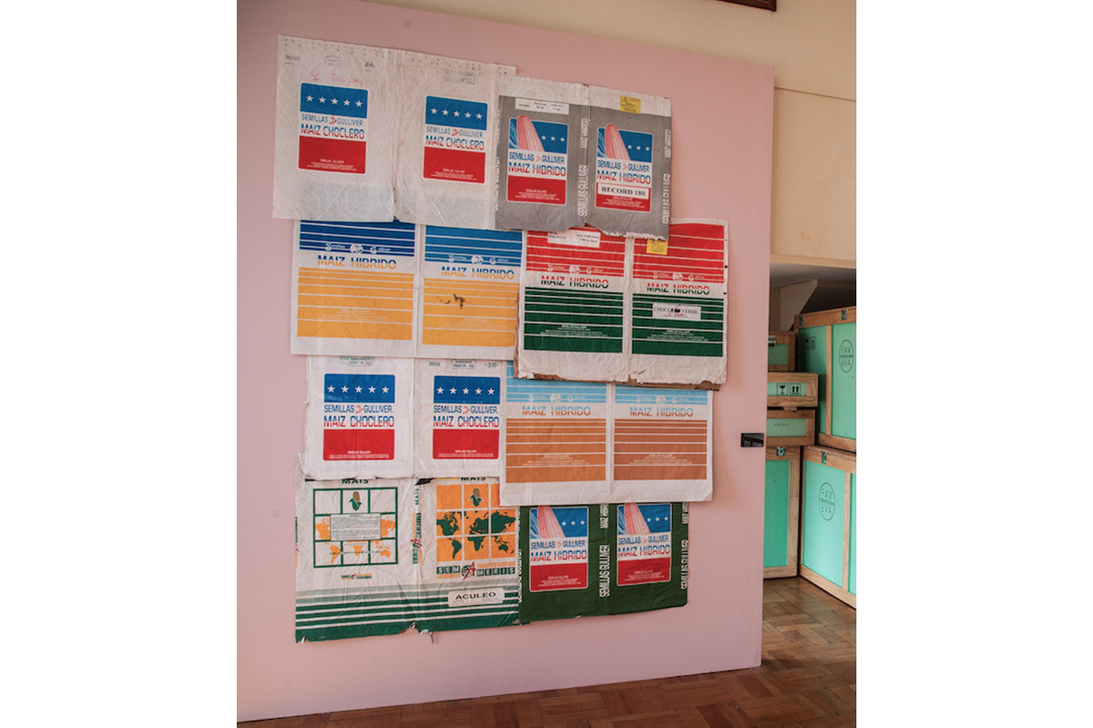 José Yisa copy — fundacionengel