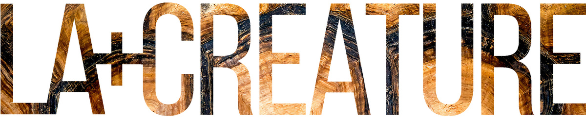 LA+ INTERRUPTION Conditions — laplusjournal