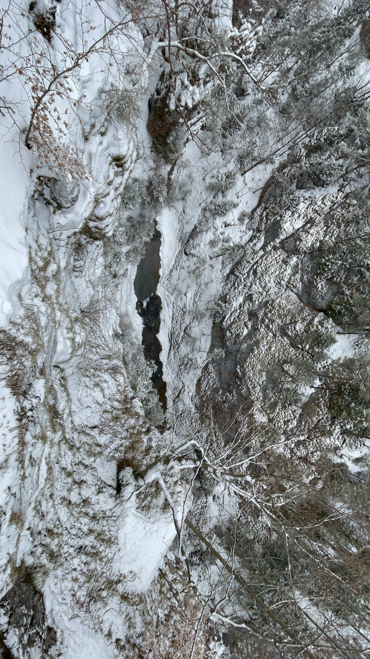 Published — NINA PIXEL