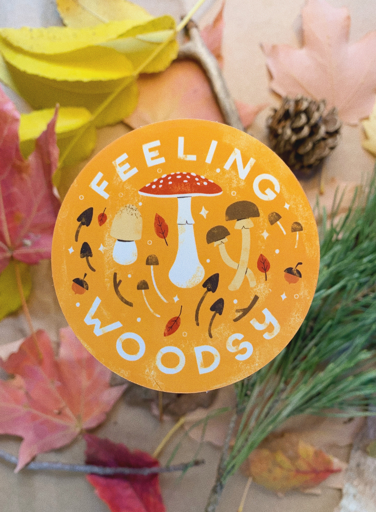 Fall Illustrations 20’ — Robin Sheldon Illustration