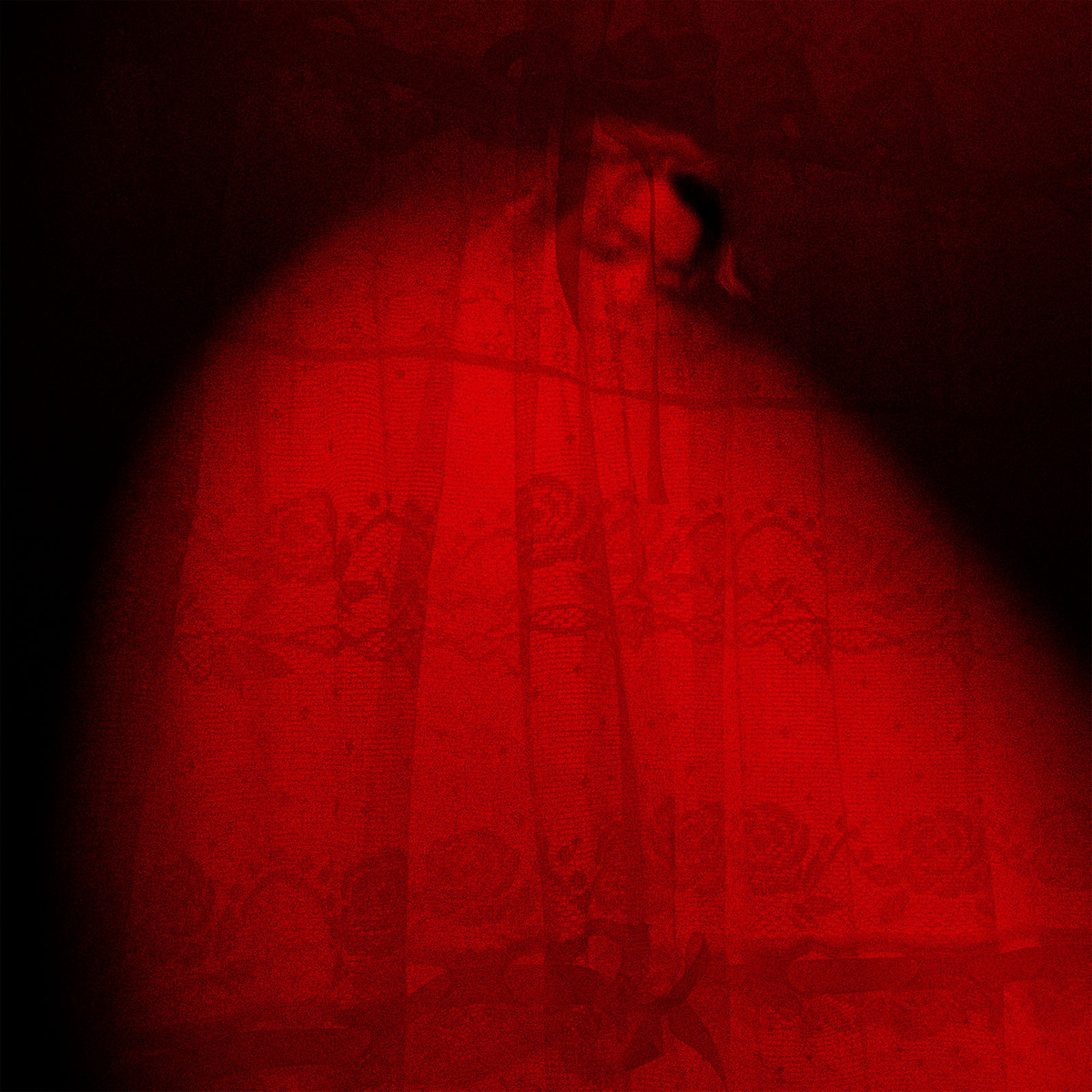 Voision Xi — shypeople