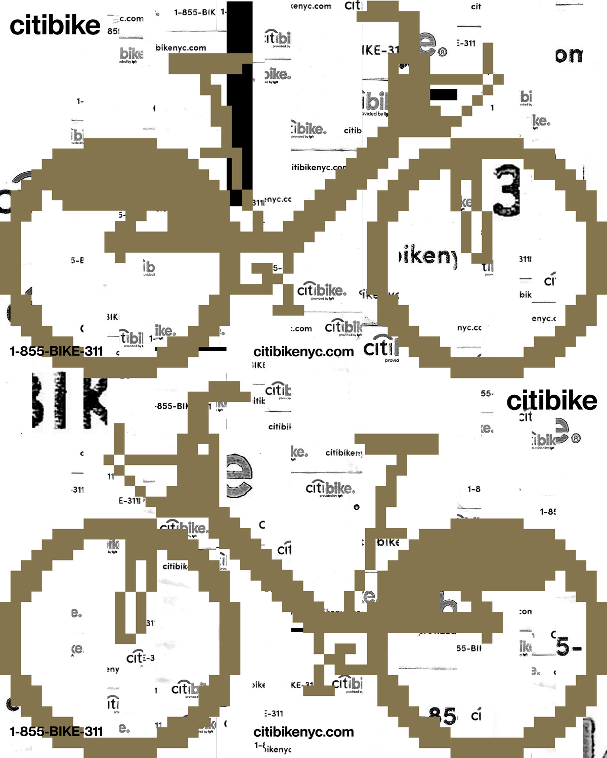 Citibike — eunsunpark