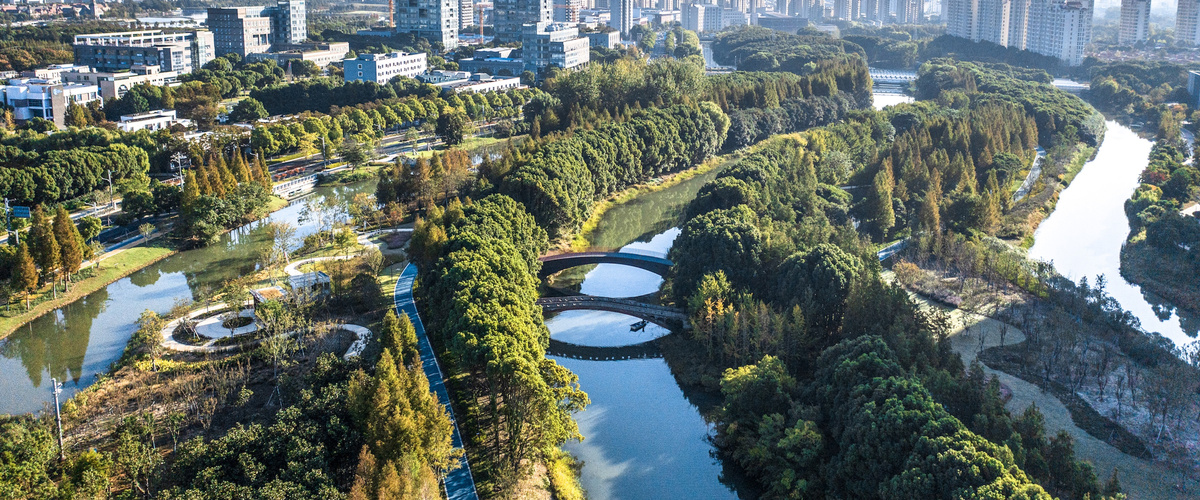 Slideshow SC — PLAT Studio