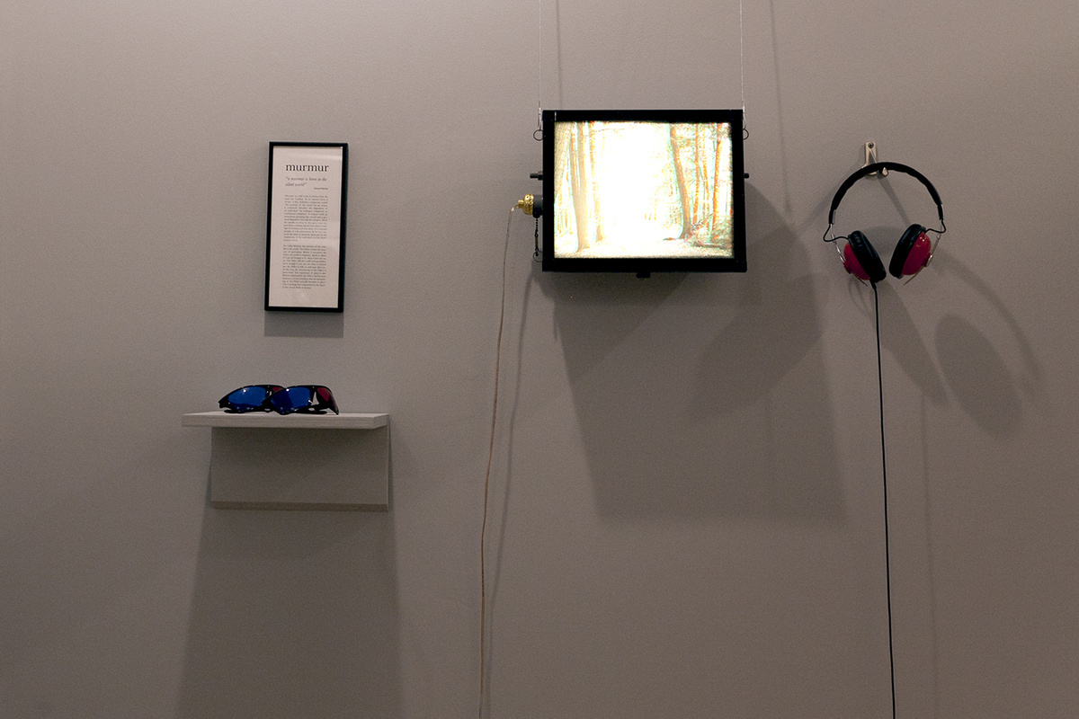 Murmur — Floor van de Velde