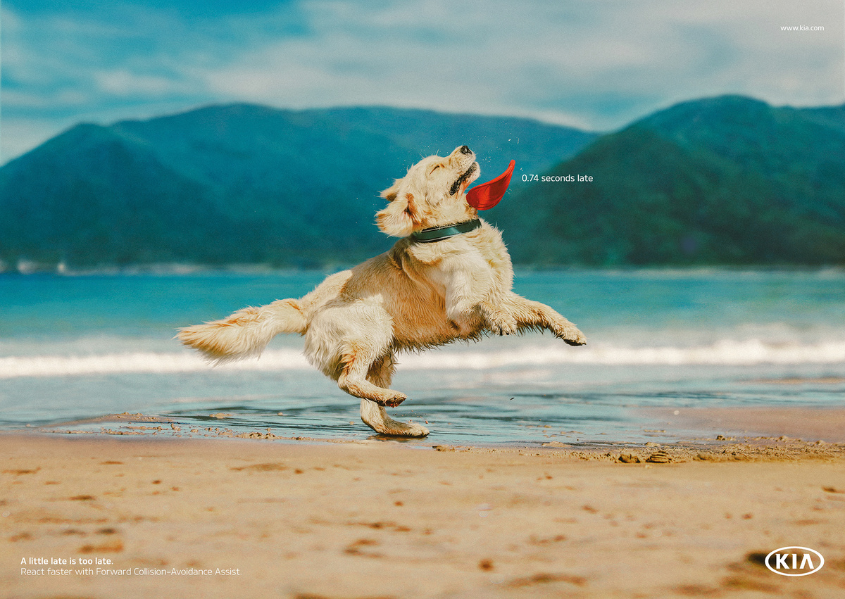 Slow Dogs — Frederico Livi