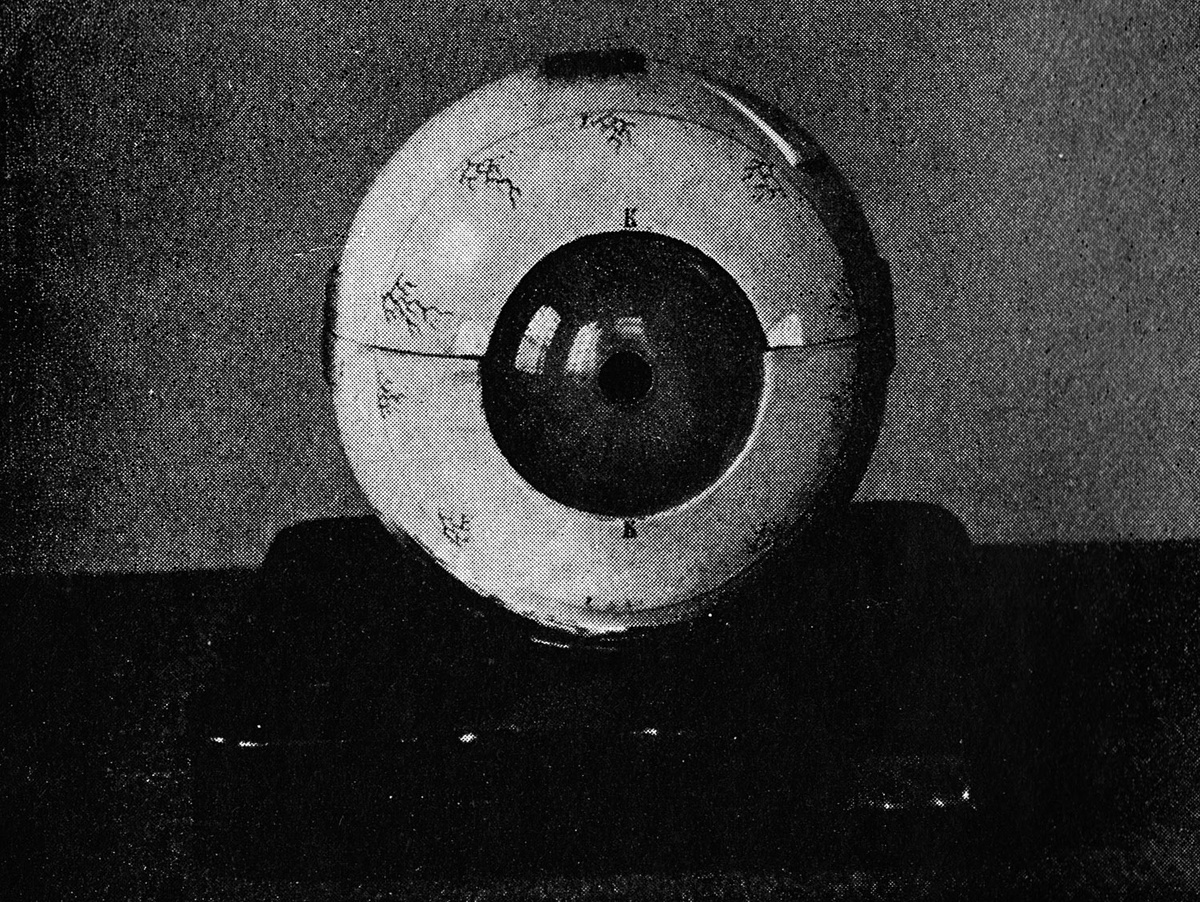 Info — louisporter