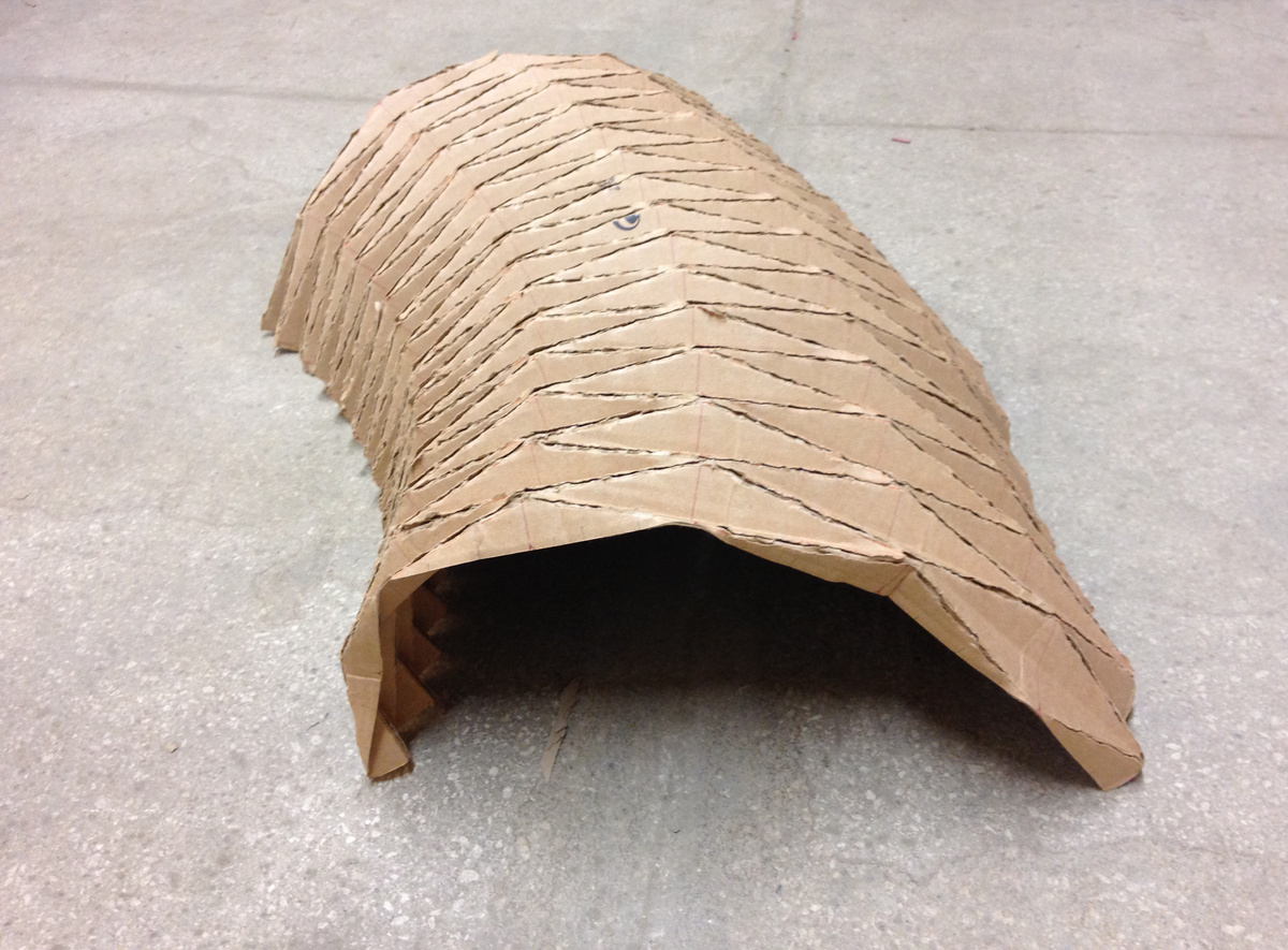 Paper & Cardboard Shelters — toddcsmith