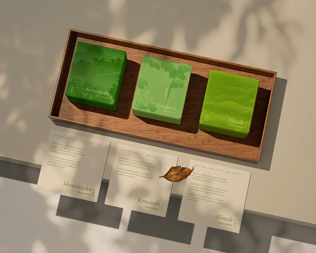 Chanoyu — Kayla Dang