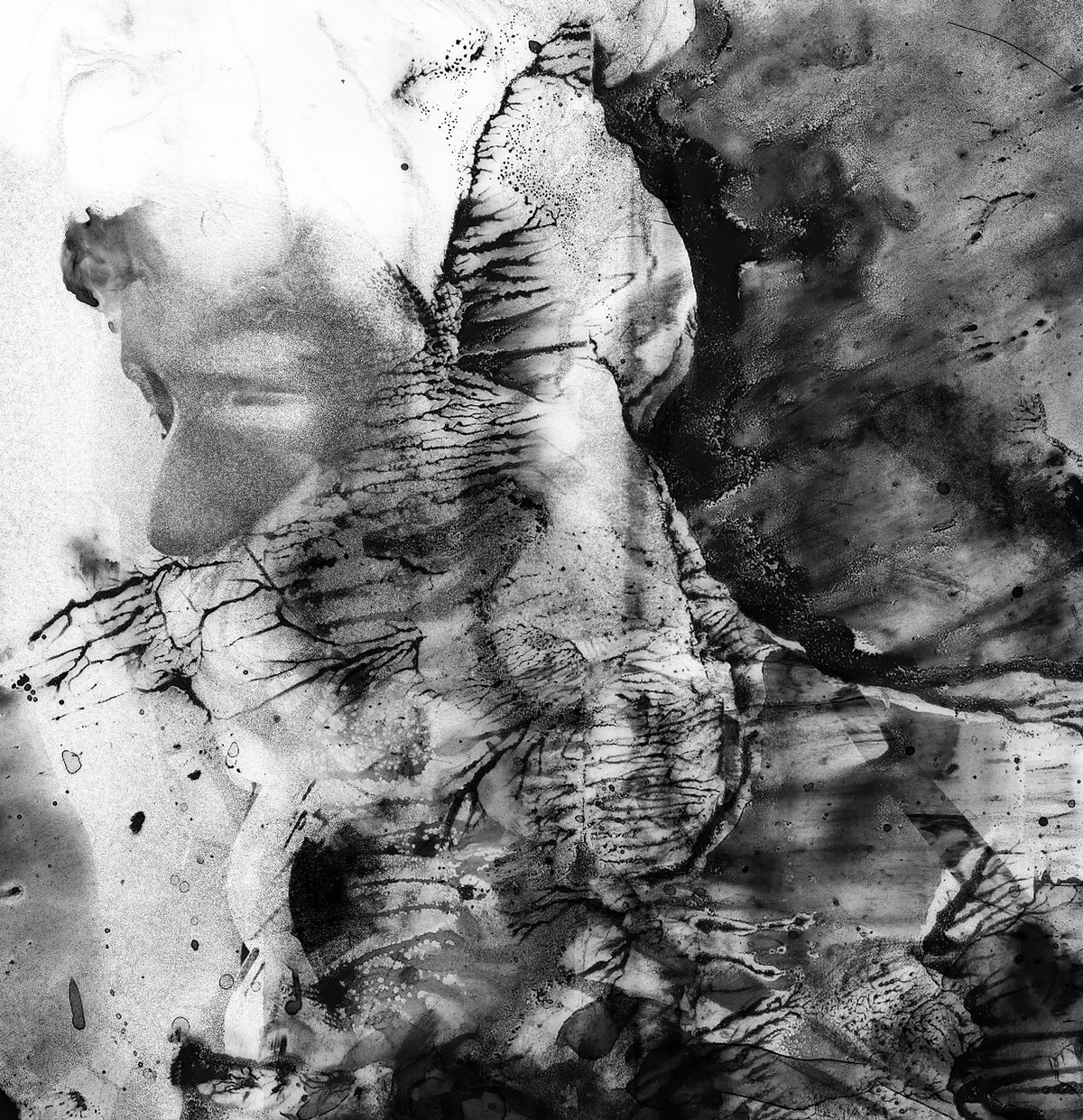 MUSIC — Mark Nieto