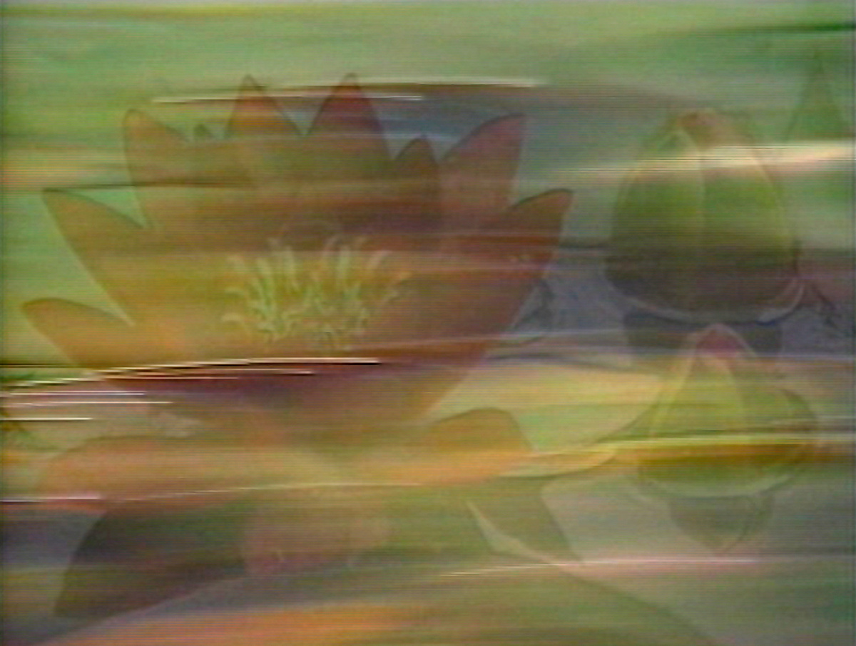 Anna Talarico — The Hoosac Institute