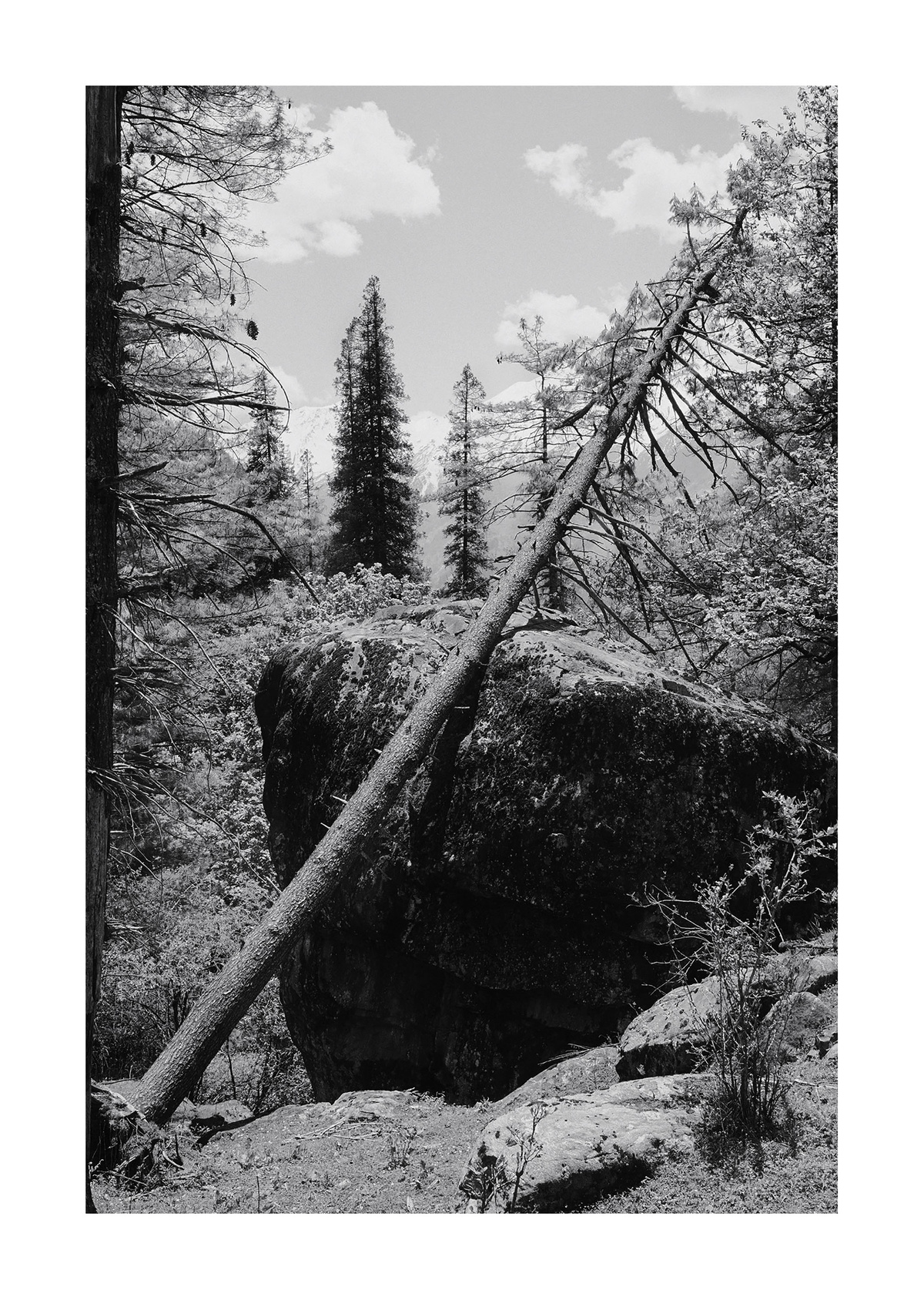 Top Nav — Barney Curran Photography