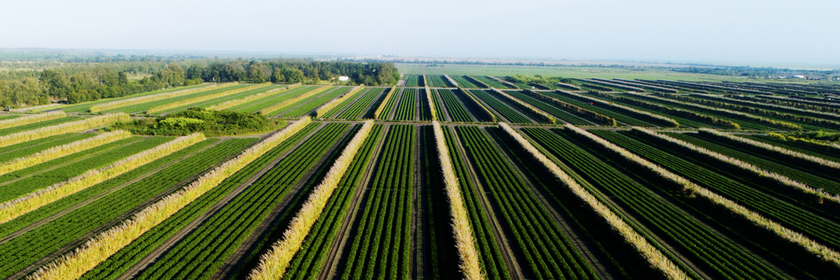 Our Farm Slideshow — L&M Companies