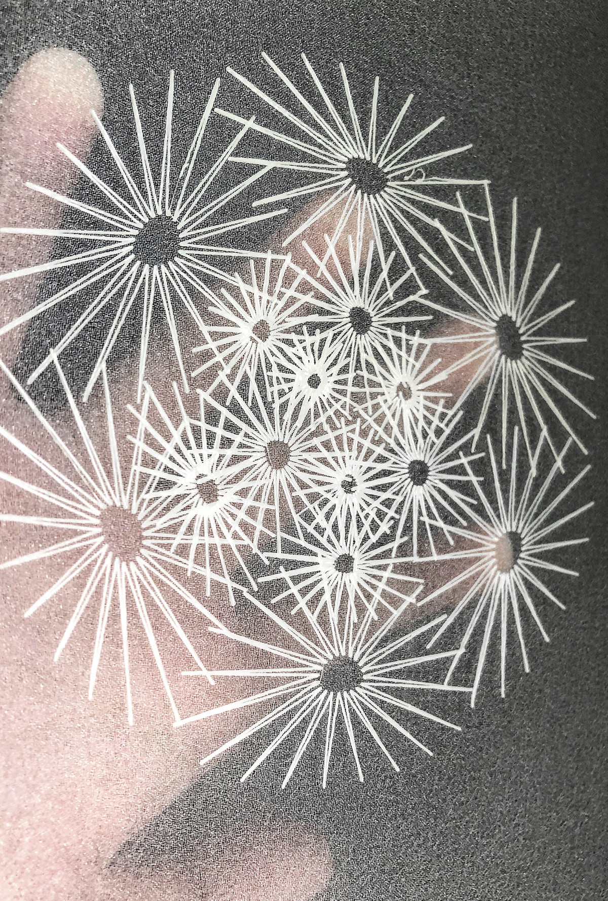 #01 DC — ECHO CHEN design studio