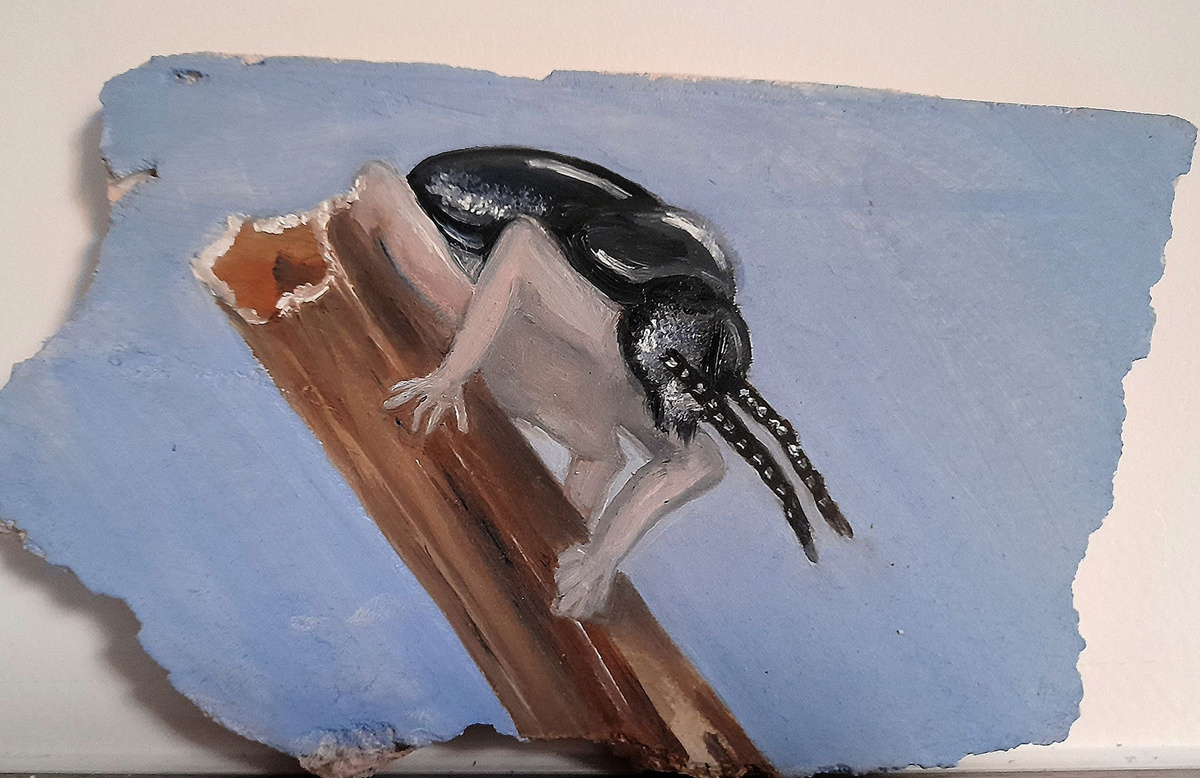 Bug Man the sequel — The Canvas