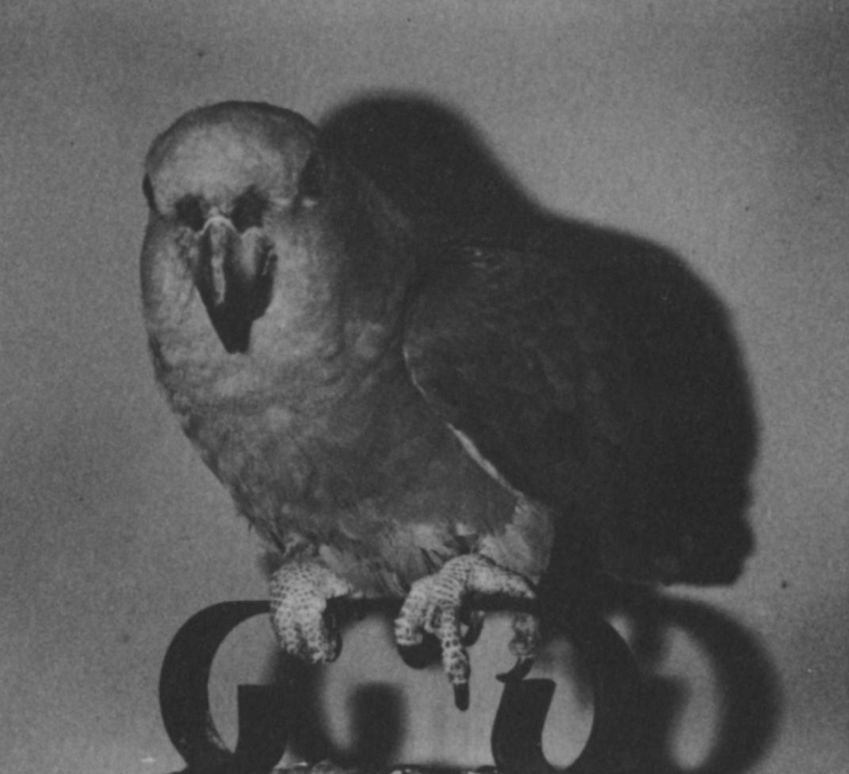 ki_3_submit — Qui Parle