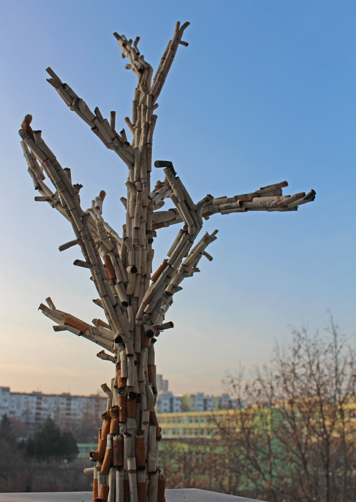 Cigarette Tree — Milena Georgieva | Portfolio