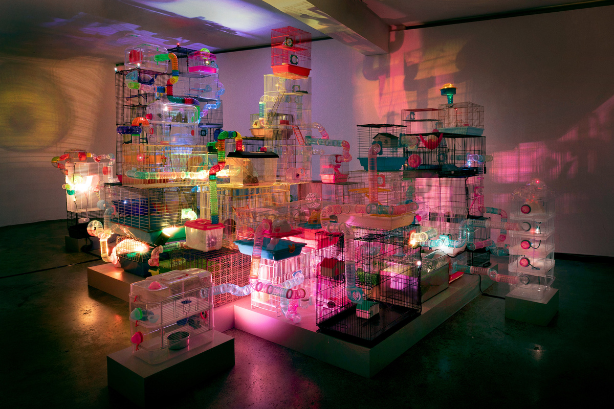 Magic Cave (2024) — EMMALINE ZANELLI