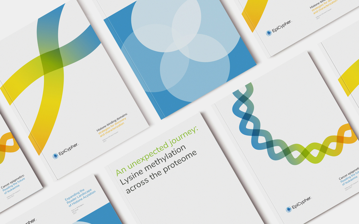 EpiCypher — Chuck Routhier Studio