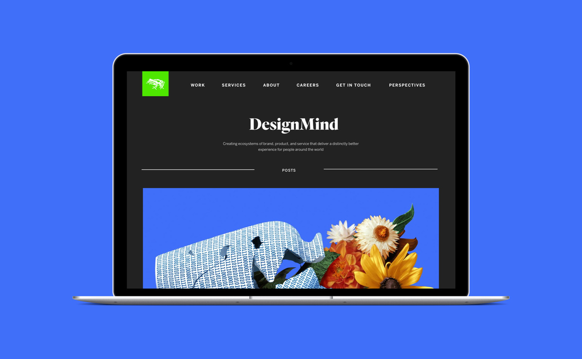 Frog Design — Area of Practice