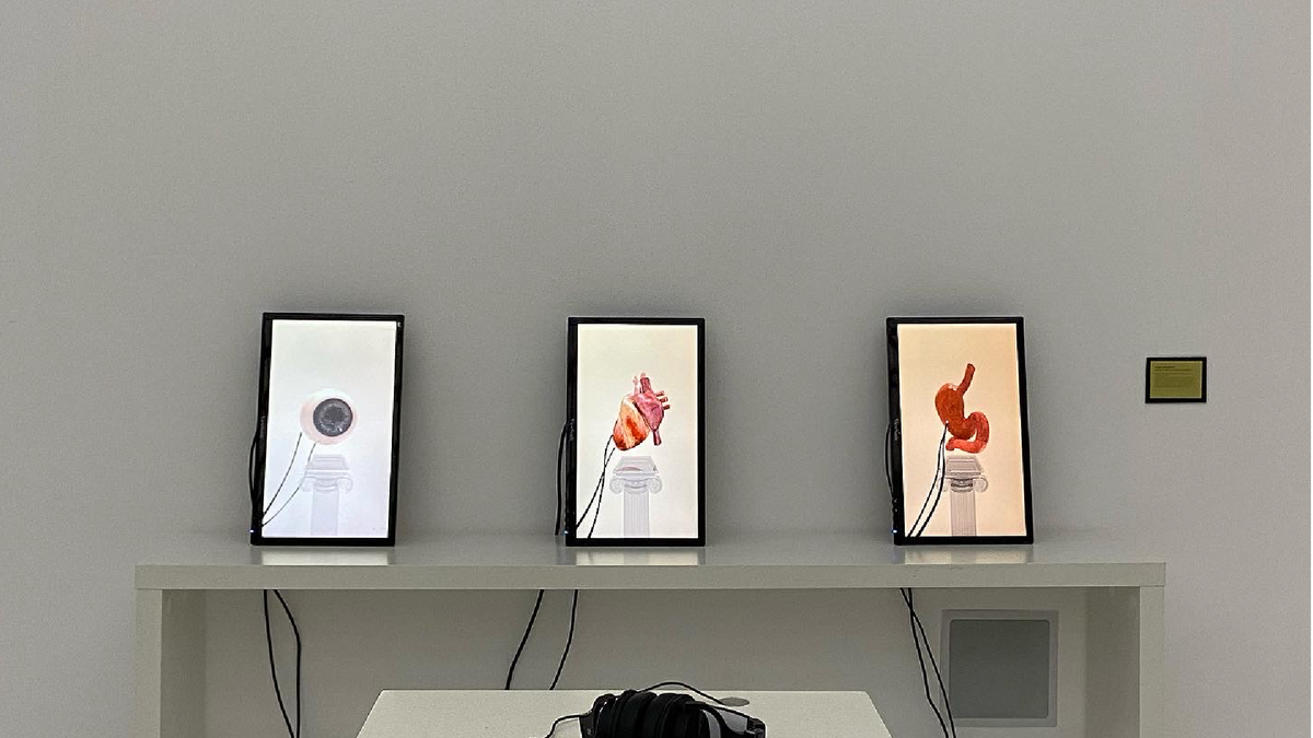 ORGAN CONNECTION — JIARONG YU