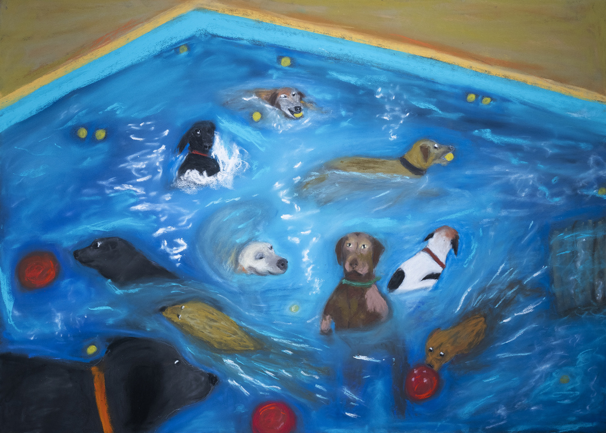 2. Things Felt But Not Quite Expressed — Sohrab Hura