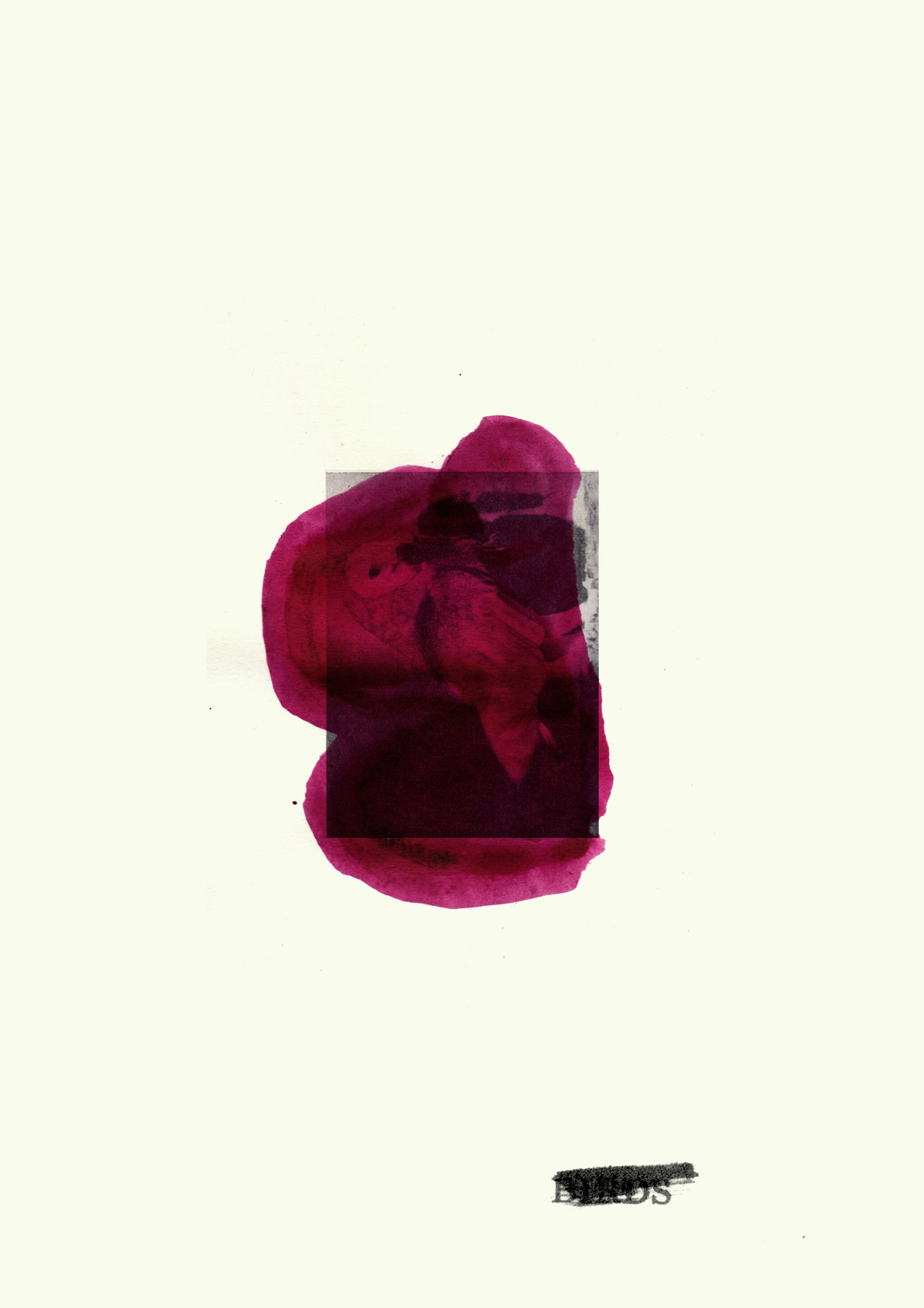 The Memory Police by Yoko Ogawa — Laura Scott Illustration