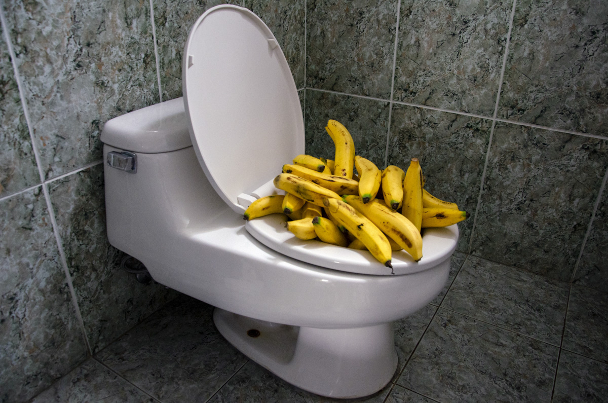 Texto Curatorial — Davartis.art