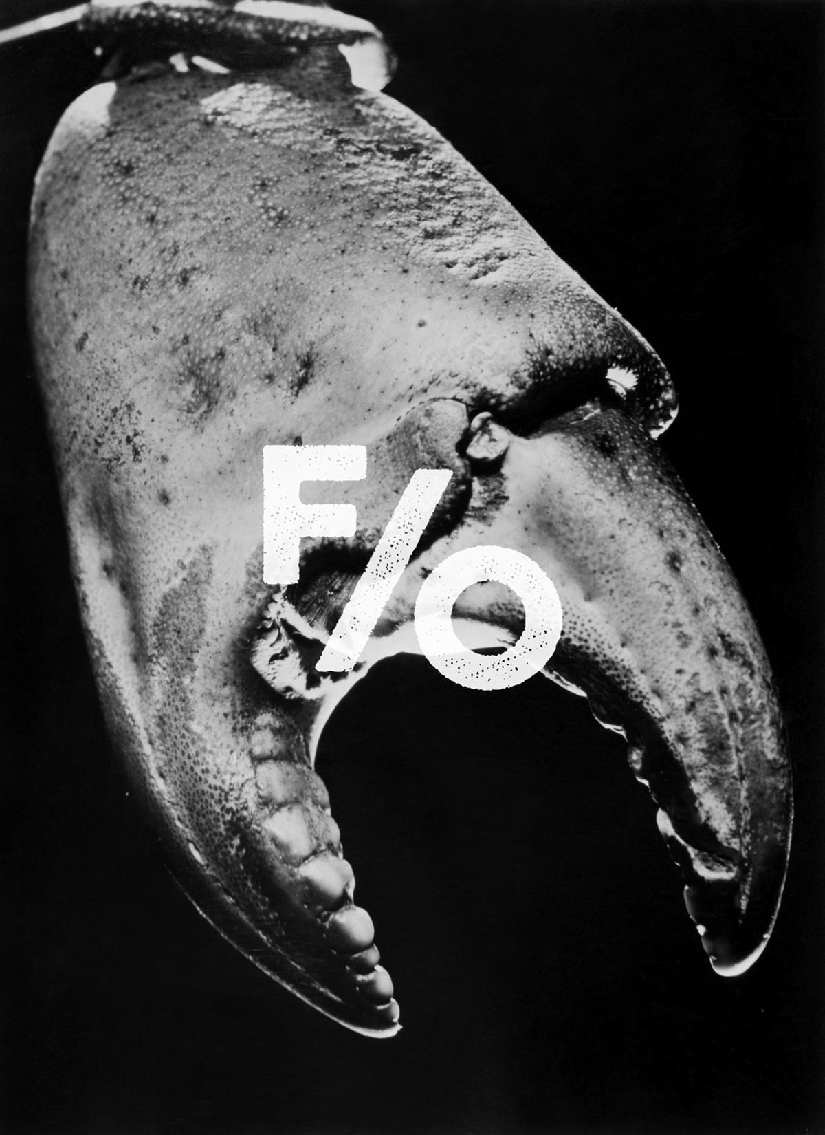 Special Screening — Fracto Film