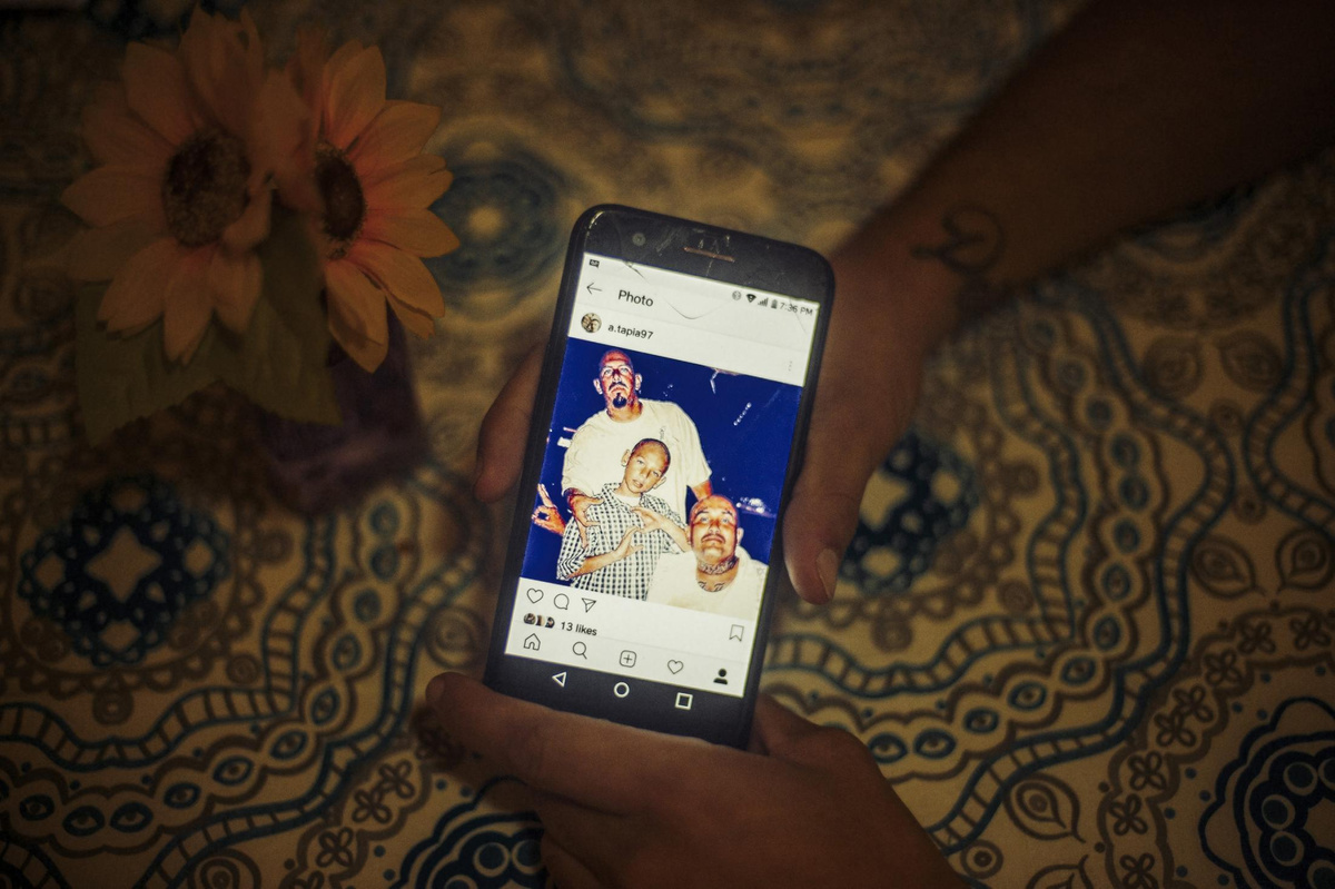 Scar Tissue — Brian L Frank