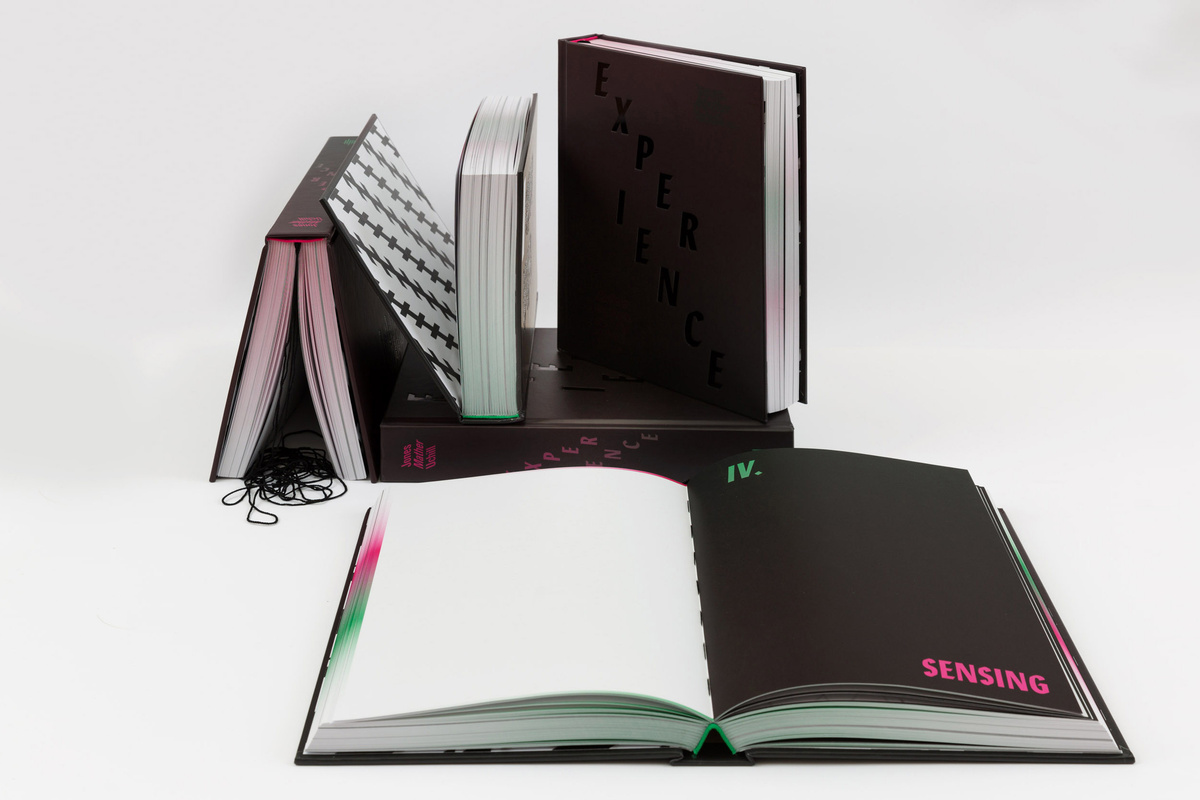 Spring—2017: The Eye — Content Object Design Studio