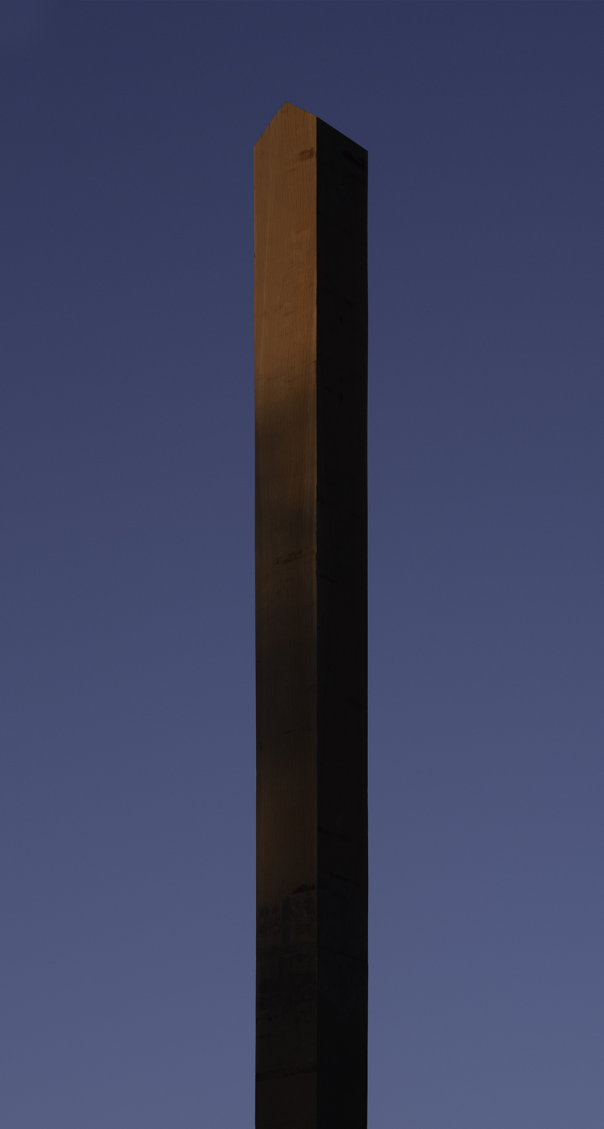 CCXD / Monoxylon — riccardodevecchiphotographer