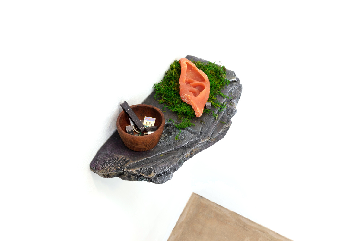 Portfolio — Madison Donnelly