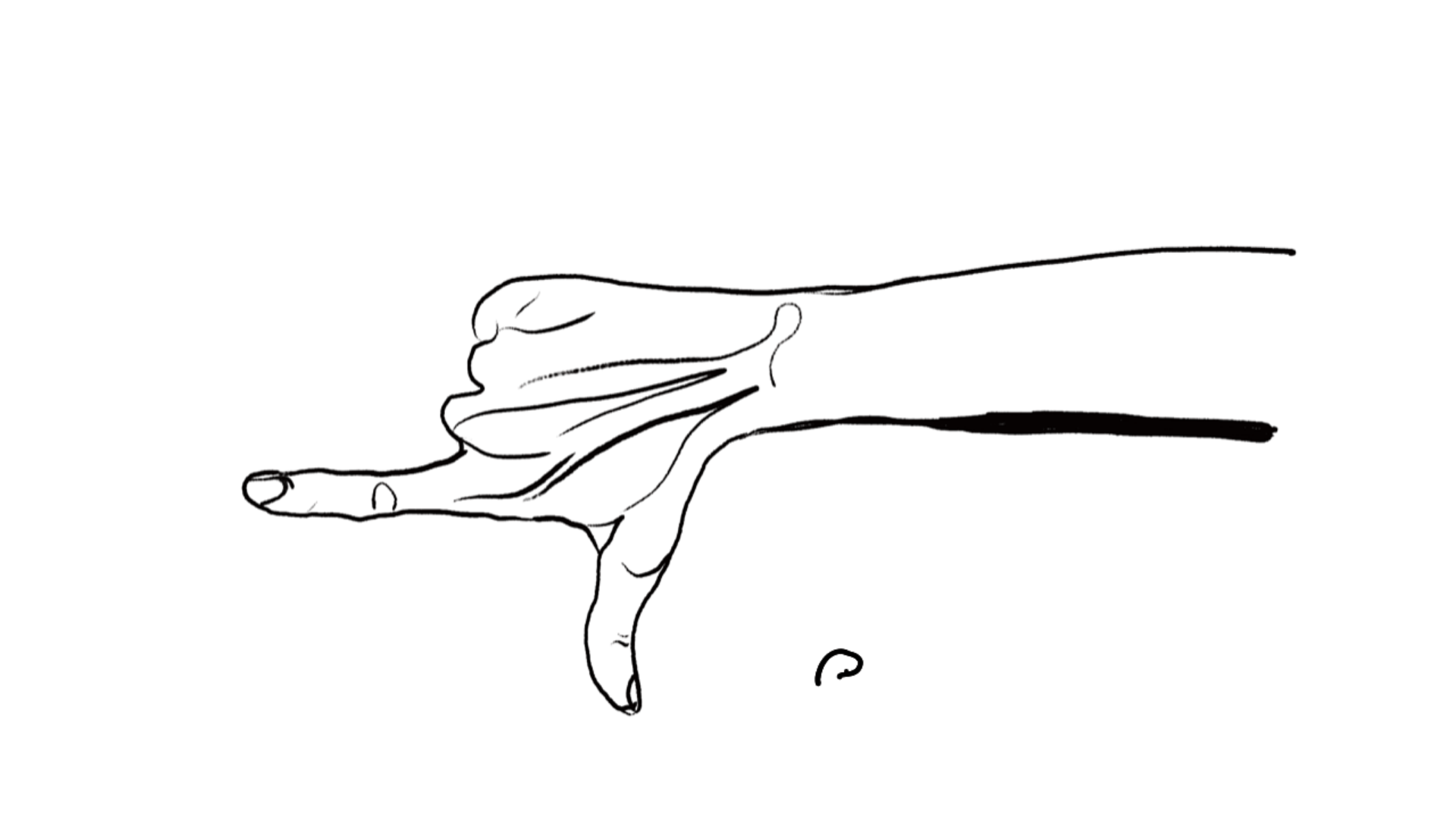 Sam Metz — MA Art & Ecology