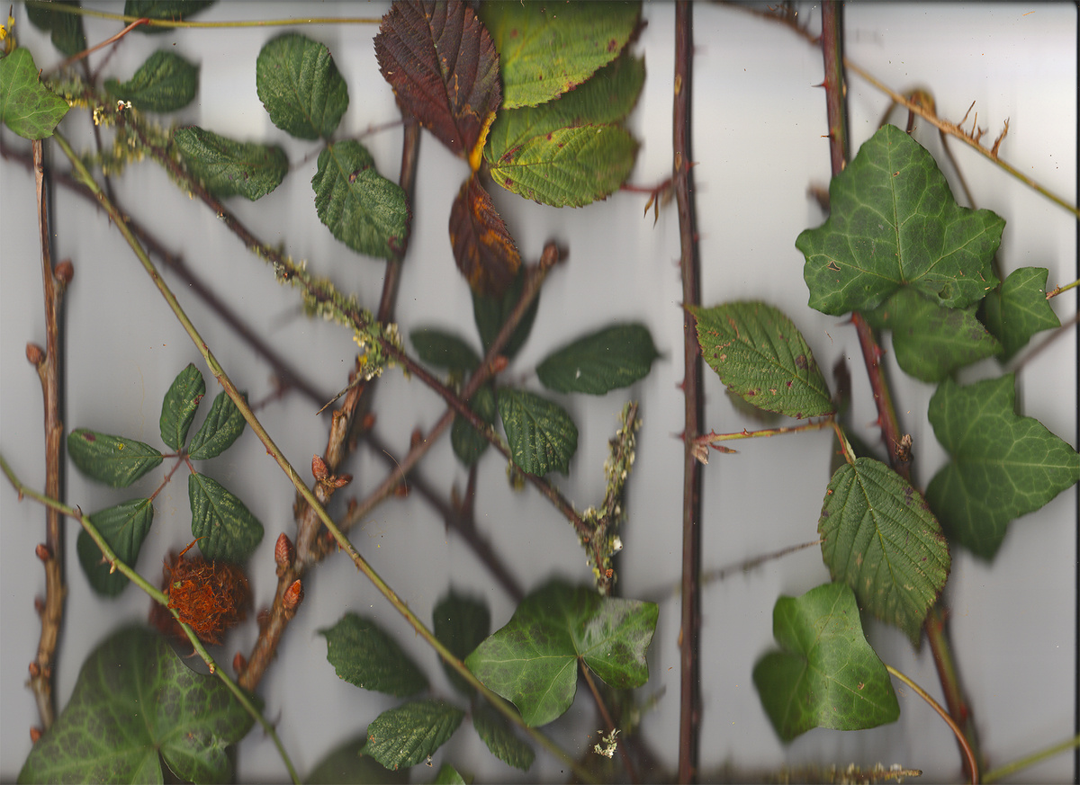 Mail Art Shop — Daniel & Clara