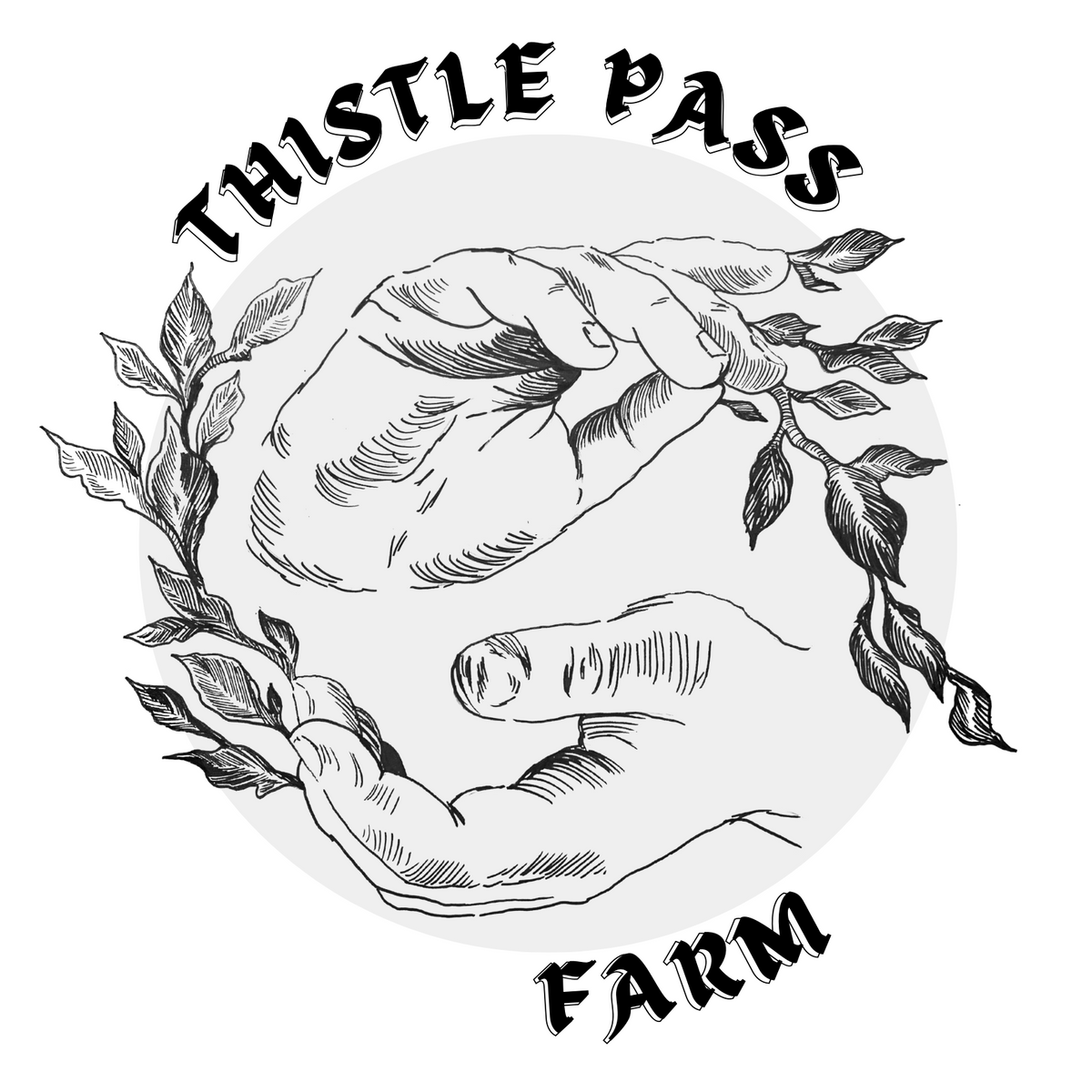 FARMERS MARKET — Thistle Pass Farm