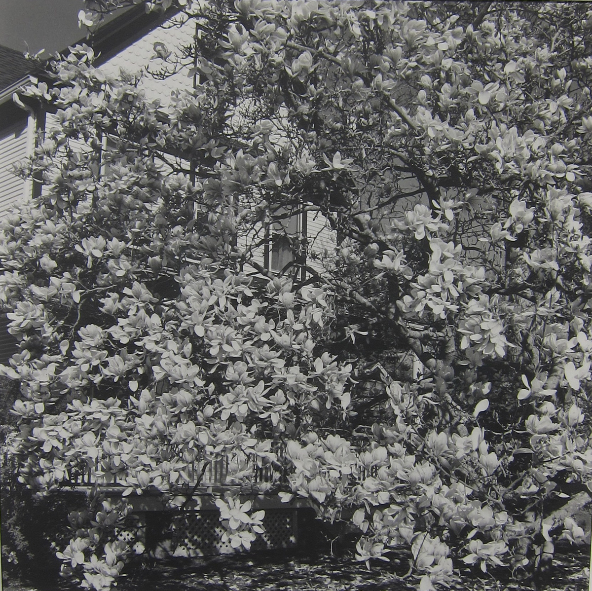 2023 — Ten Haaf Projects