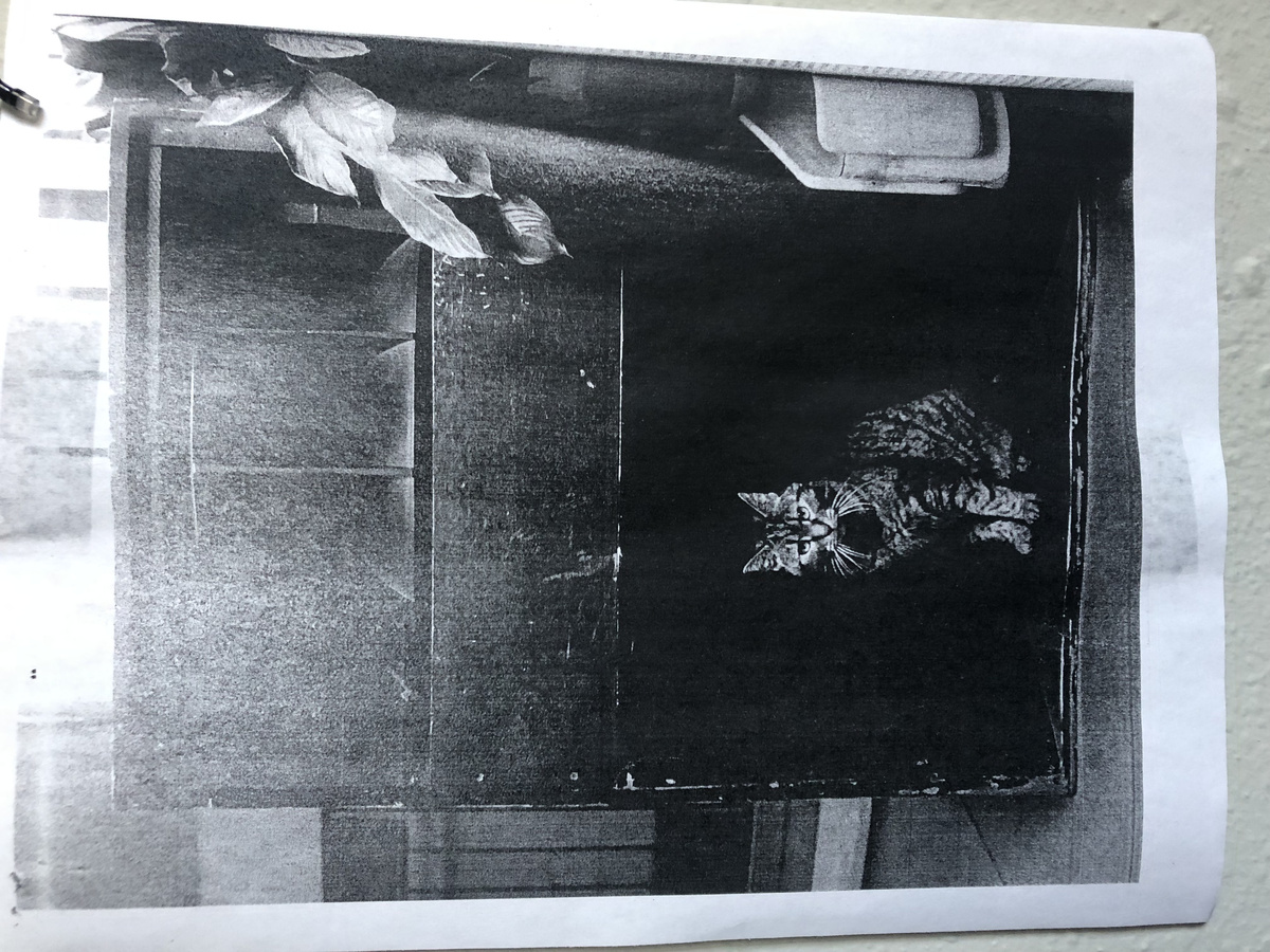 Writings — Madison Greenstone