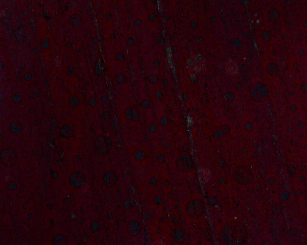 Contact — Delta Conservation