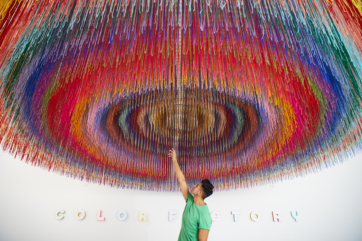 Color Factory Houston — Darwin Studio