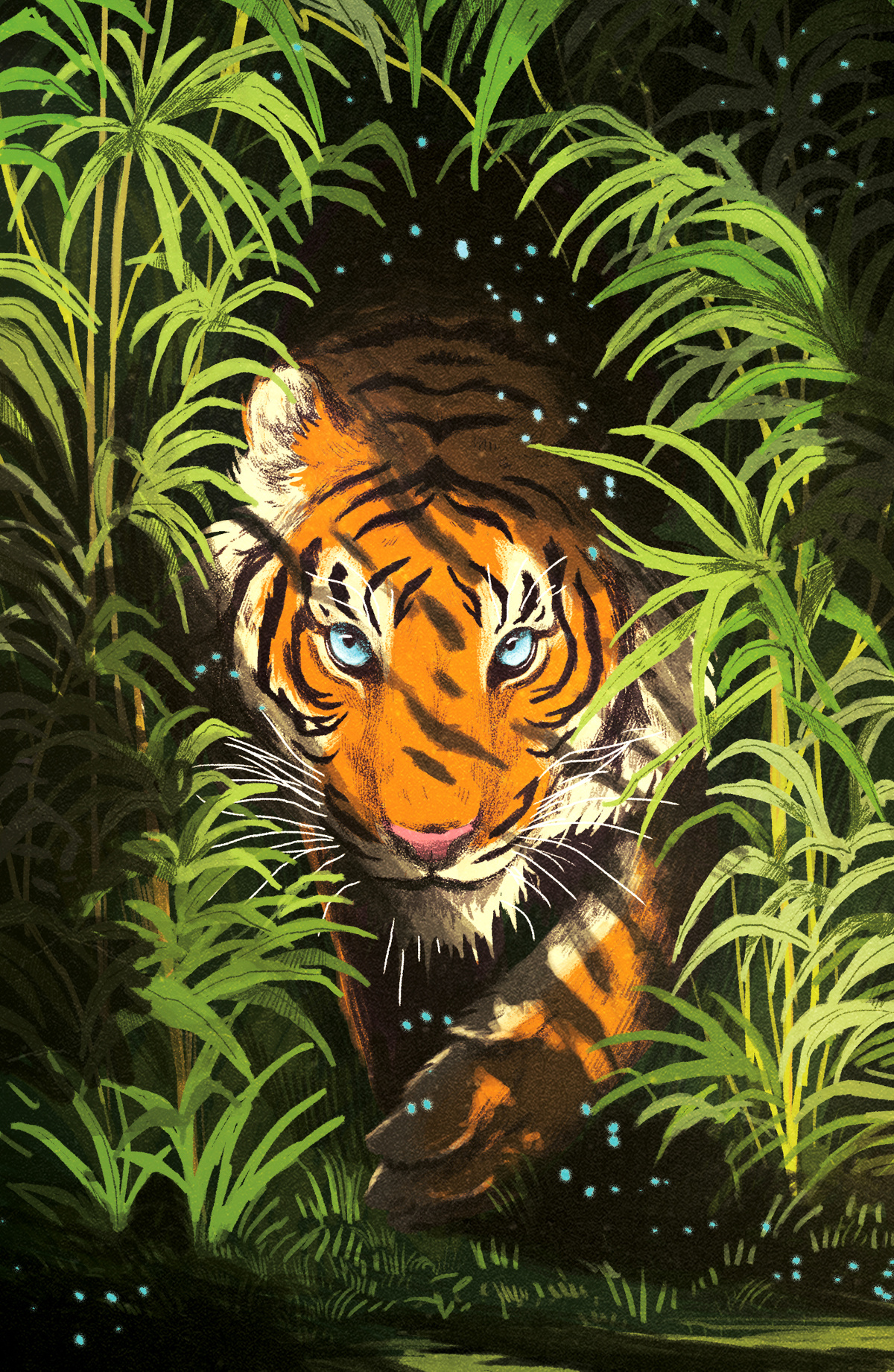 Penguin Random House: Cover art — Kalp Sanghvi