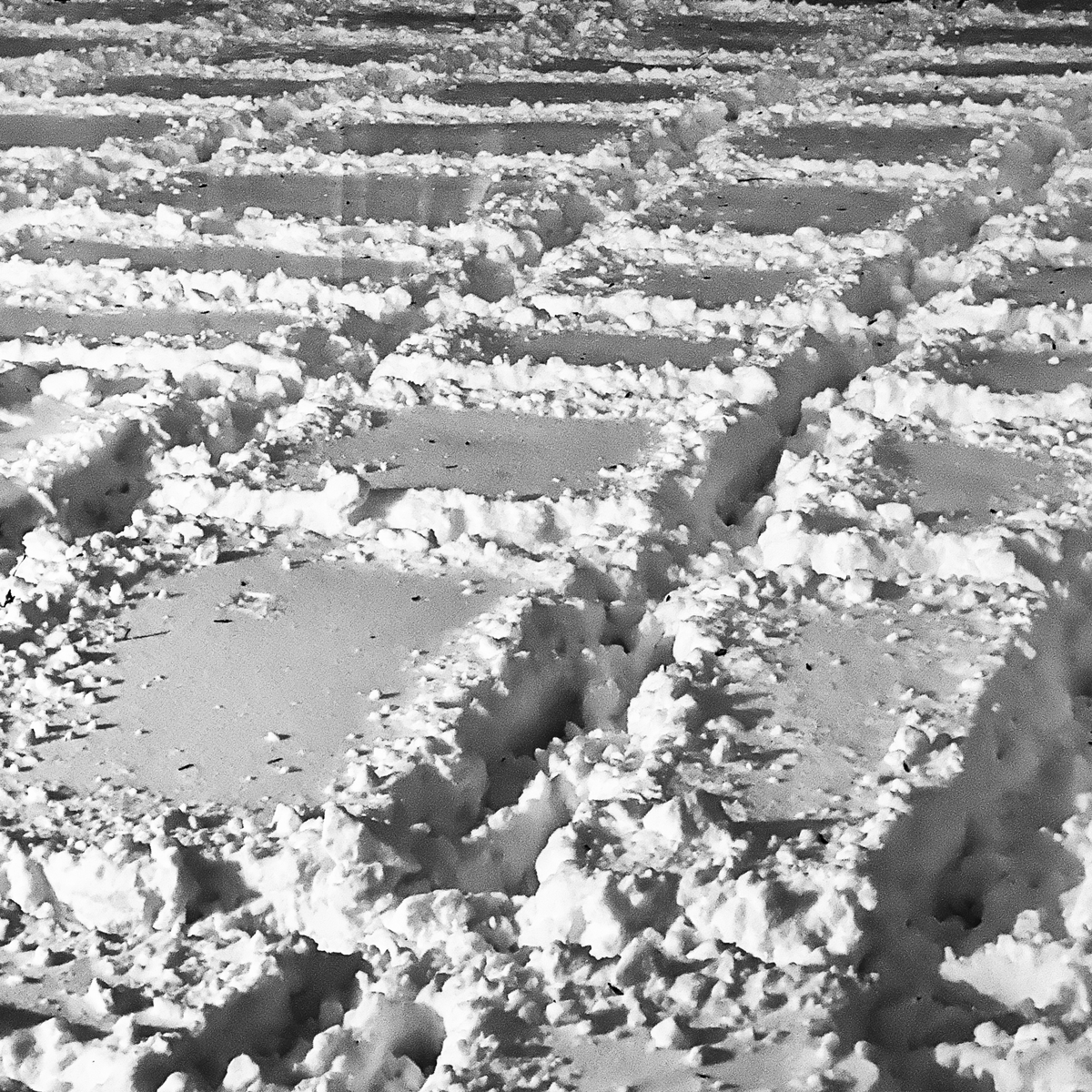 02/24 — donovan bunn