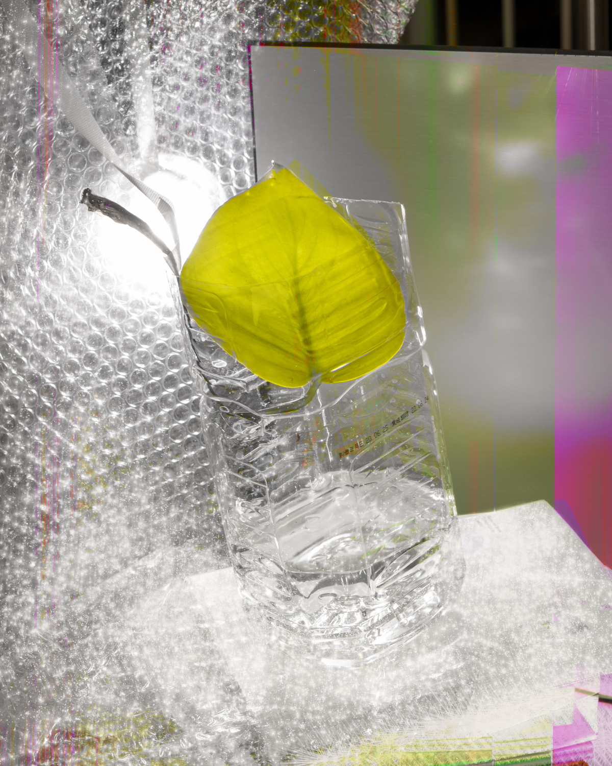 The Transparency Photography — Yumo Wu