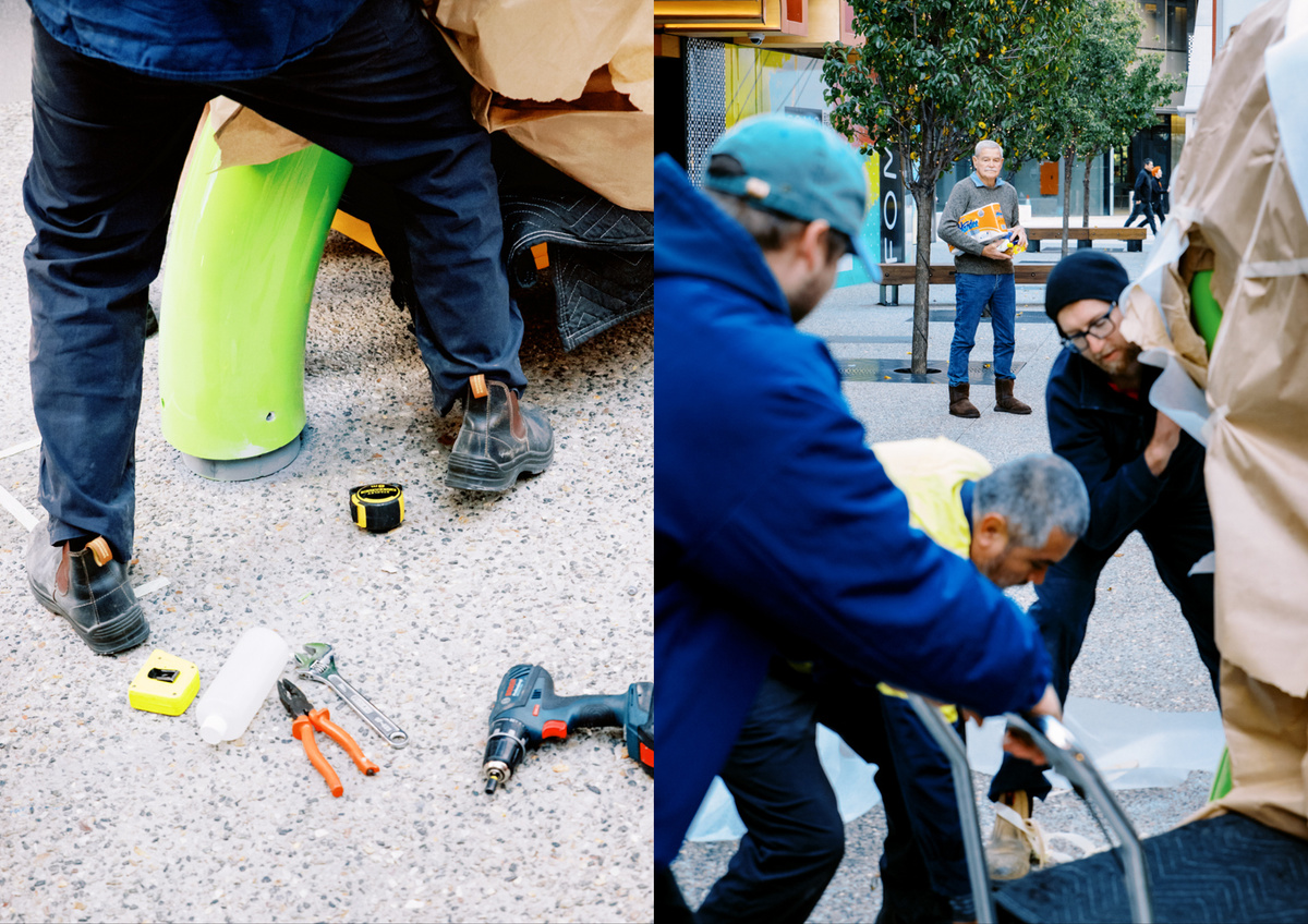 Big Flower — Tim Meakins