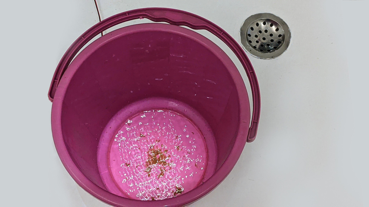 kashyap_bucket_photo — zeropowercut