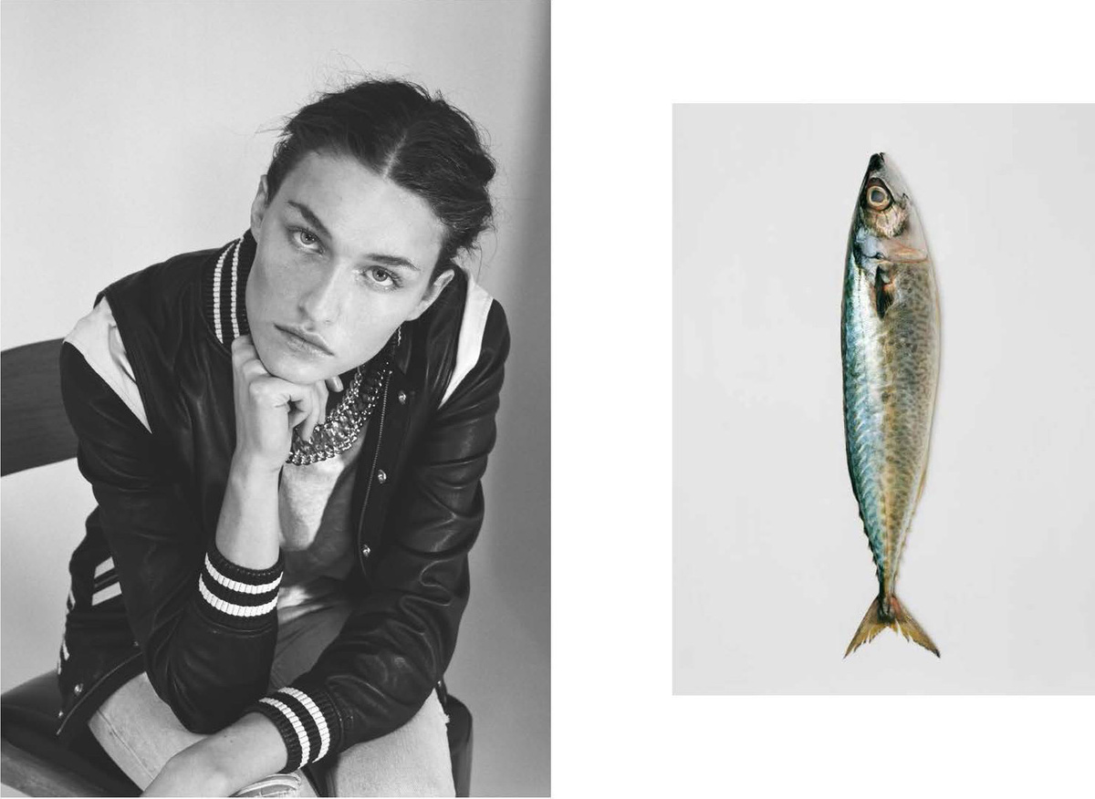 Vandals — David Shama