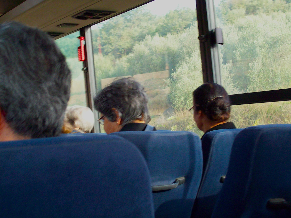 Free Bus Shuffle — Vernacular Journal