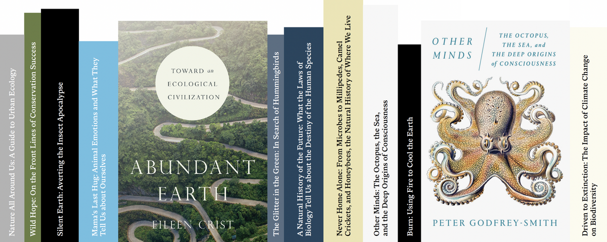 Books — Climate Words