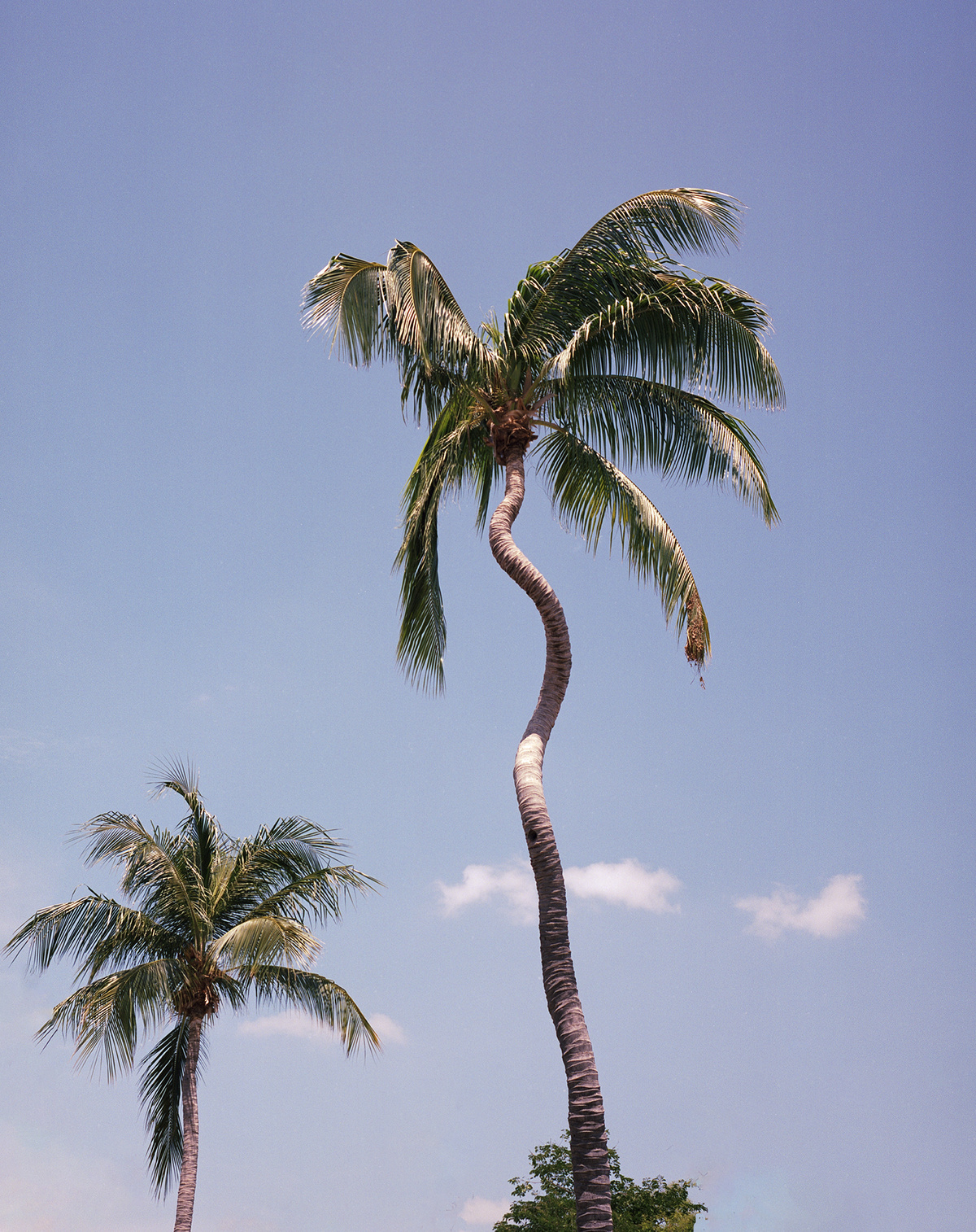 Points of Entry — VannThomasPowell.com