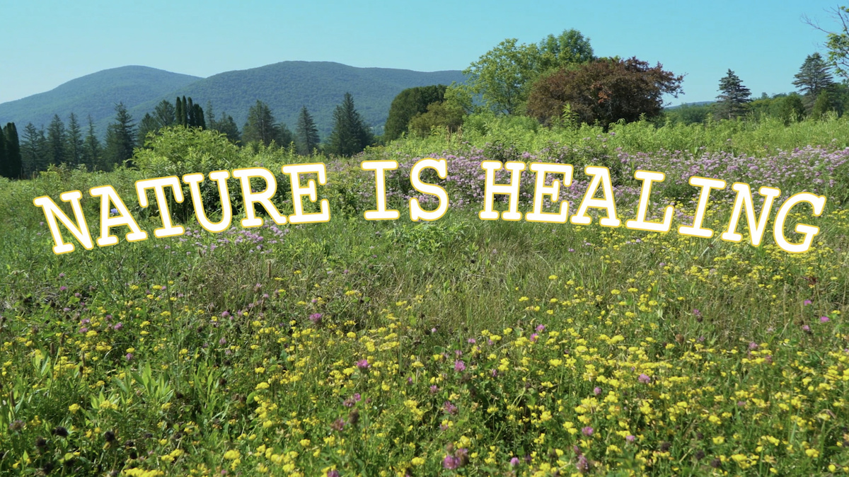 Nature is Healing — Ilana Yacine Harris-Babou