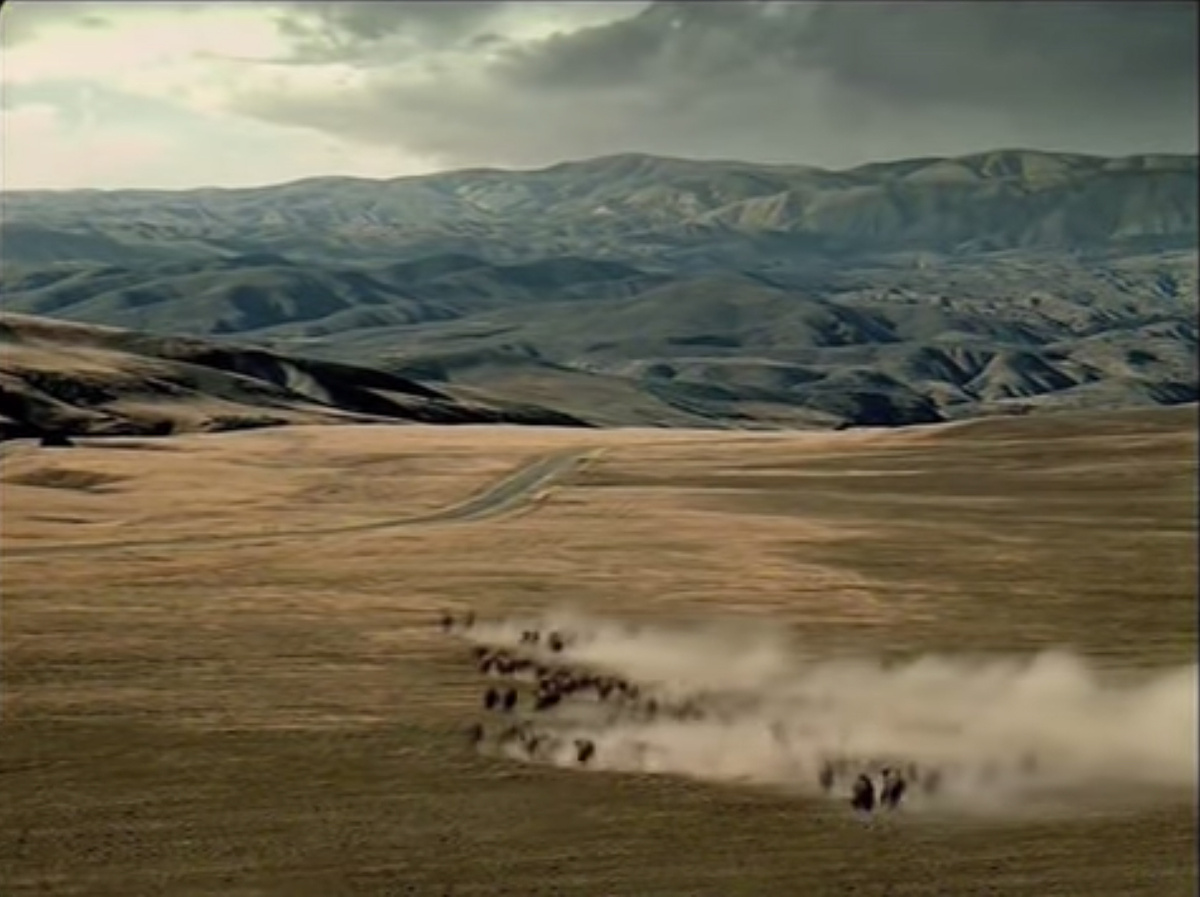 Nike "Magnet" — David Wittman